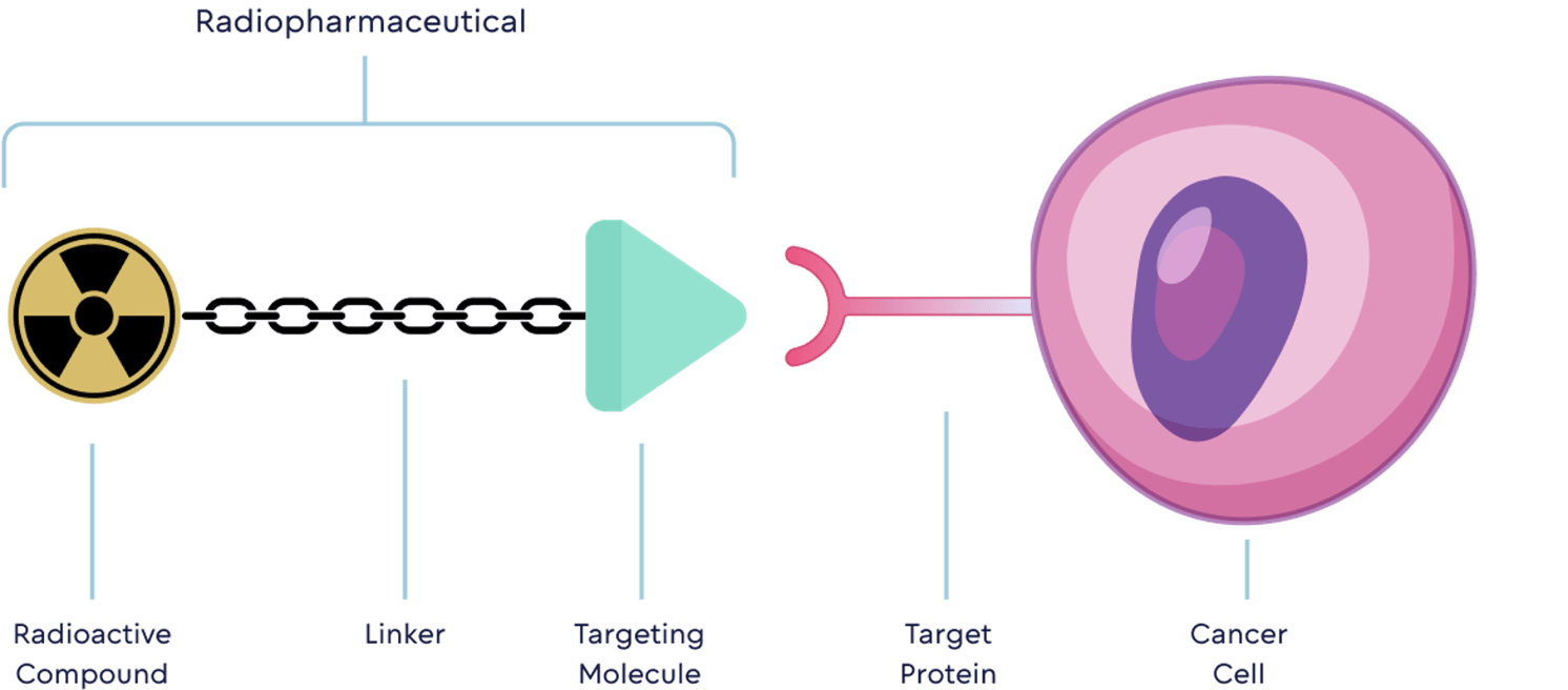 Radiopharmaceuticals Innovation in Cancer | Tema Insights
