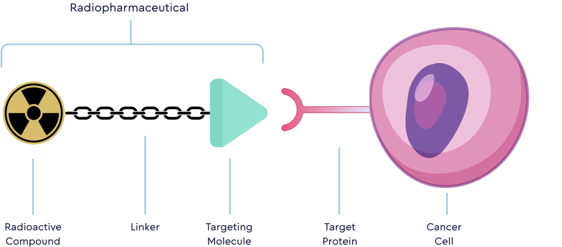 Radiopharmaceuticals Innovation in Cancer | Tema Insights